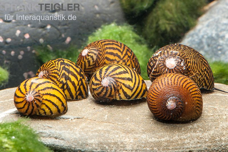 Test Blog für Farena